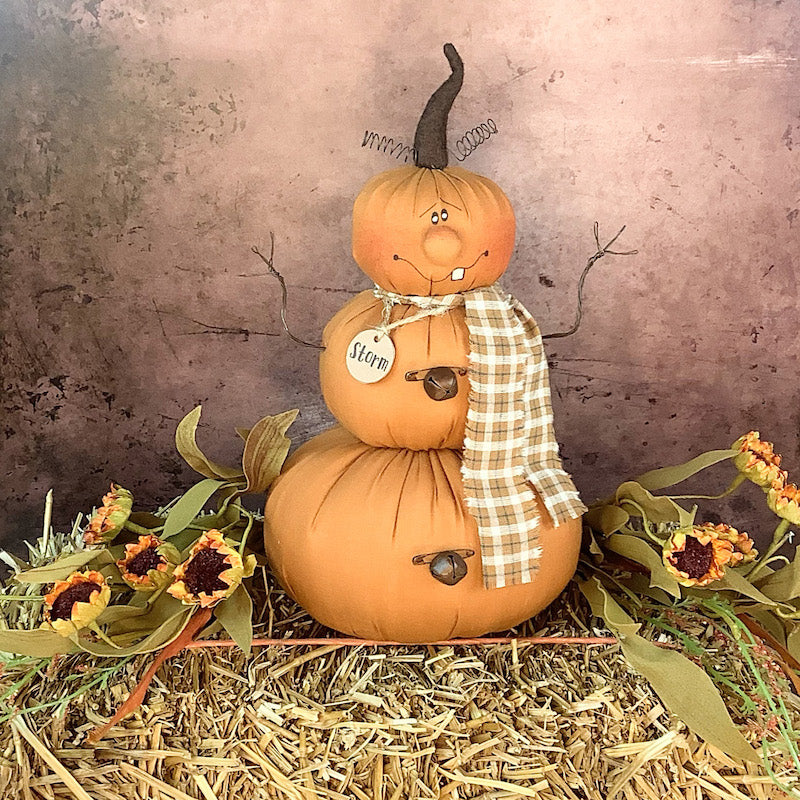Storm the Goofy Jack-O-Lantern – Honey and Me Collective