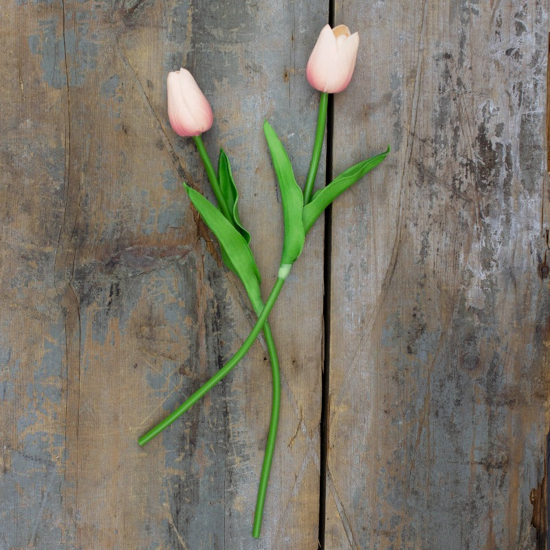 Small Light Pink Tulip Stem Set (2A) – Honey and Me Collective