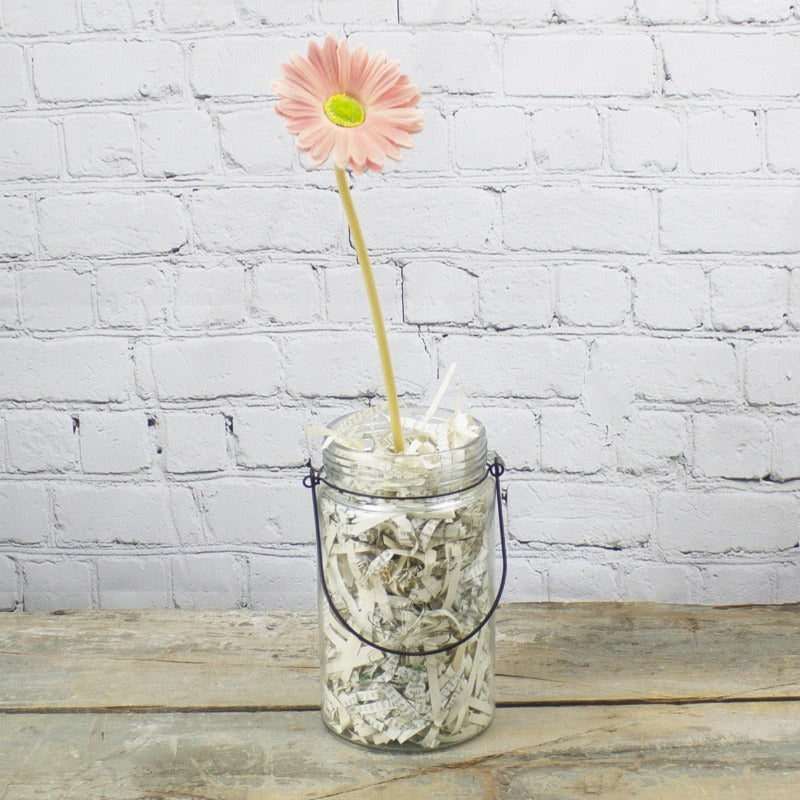 Light Pink Gerber Daisy Stem – Honey and Me Collective